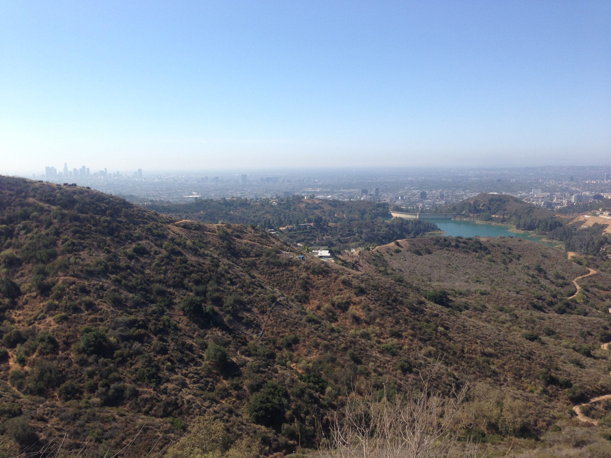 Wisdom Tree Hike in Hollywood