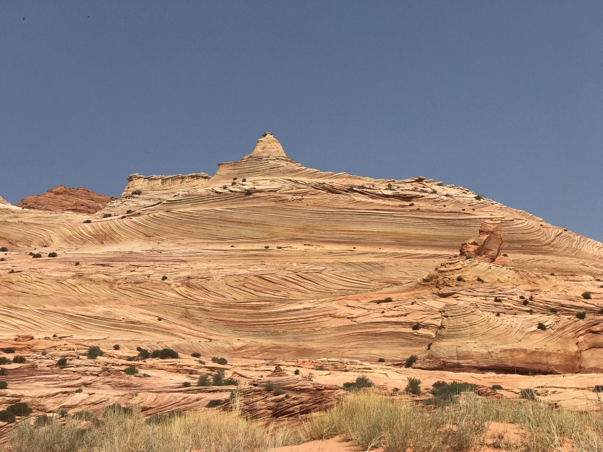 The Wave Arizona Guide: Coyote Buttes North Permit & Hike Tips