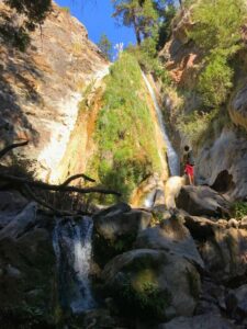 Human Nest at Treebones Resort - Big Sur, CA