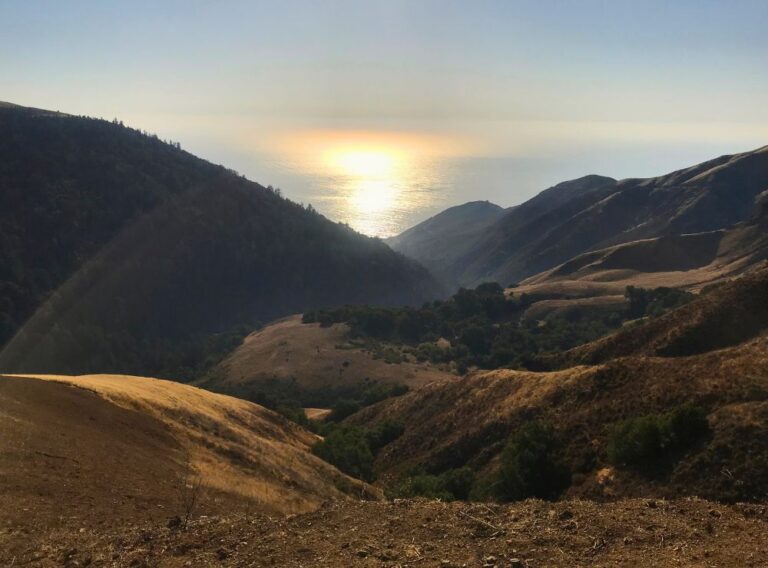 Human Nest at Treebones Resort - Big Sur, CA