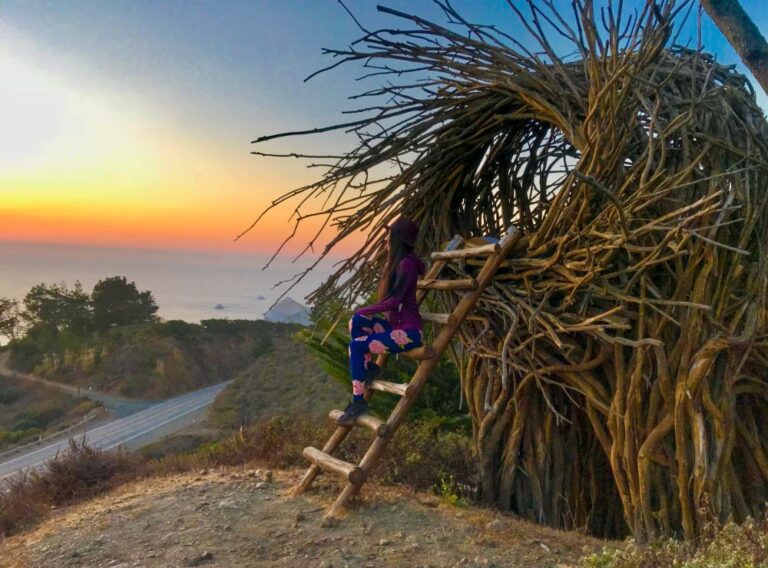 Human Nest at Treebones Resort - Big Sur, CA