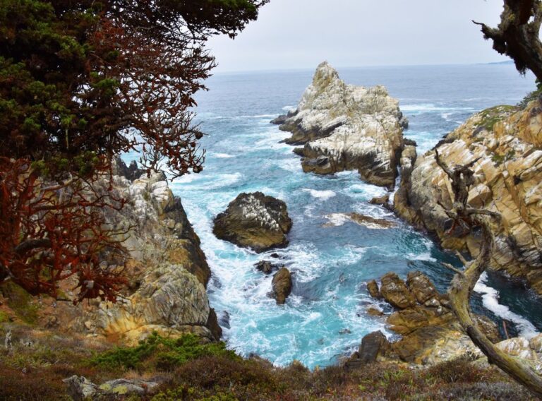 Human Nest at Treebones Resort - Big Sur, CA
