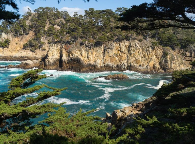 China Cove: A Hidden Gem In Point Lobos