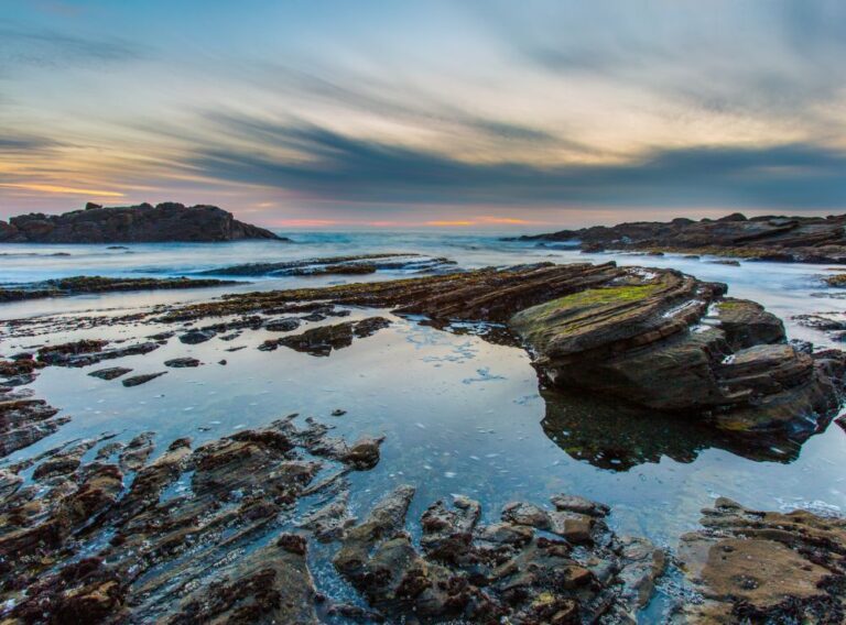 Human Nest at Treebones Resort - Big Sur, CA