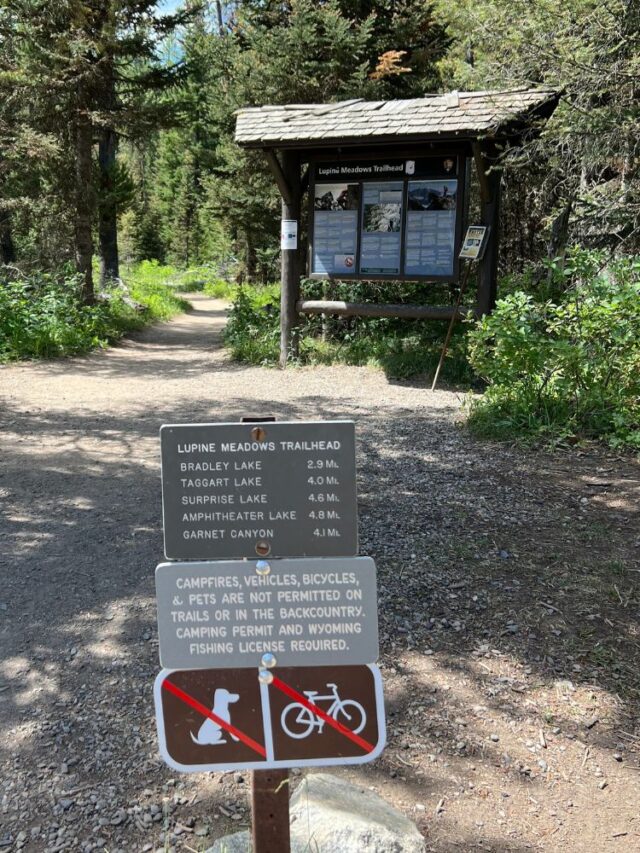 How to Hike Delta Lake in Grand Teton National Park