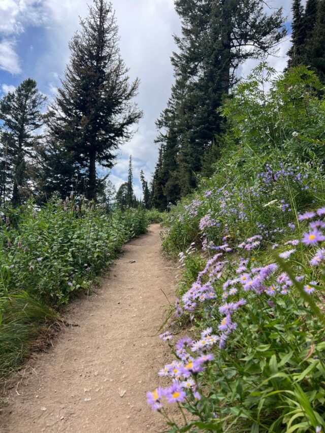 How to Hike Delta Lake in Grand Teton National Park