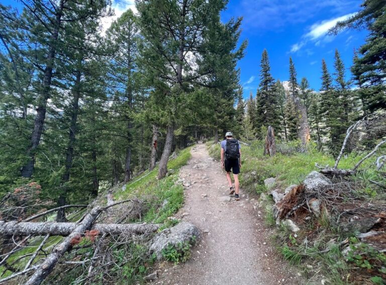 How to Hike Delta Lake in Grand Teton National Park