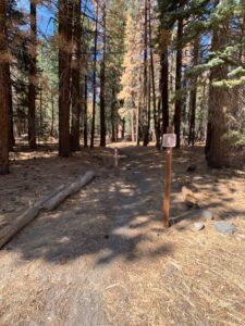 Inyo Craters Trail: Easy Hike in Mammoth Lakes, California