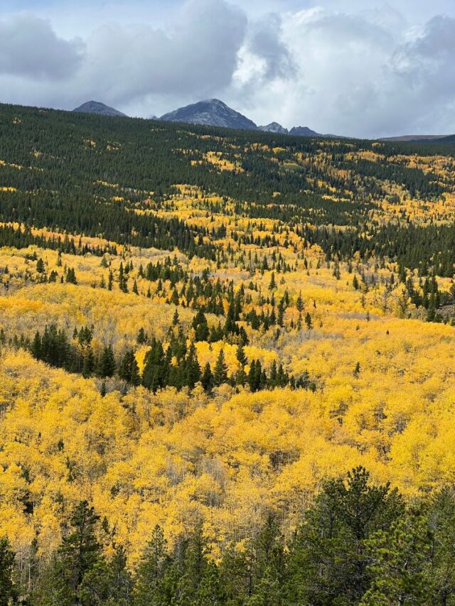 Nederland Colorado: 19 Best Things To Do & Ultimate Guide