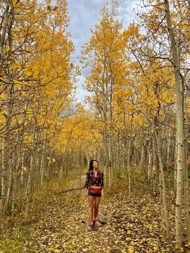 Nederland Colorado: 19 Best Things To Do & Ultimate Guide