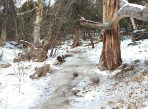 Ultimate Guide for Visiting Fifth Water Hot Springs