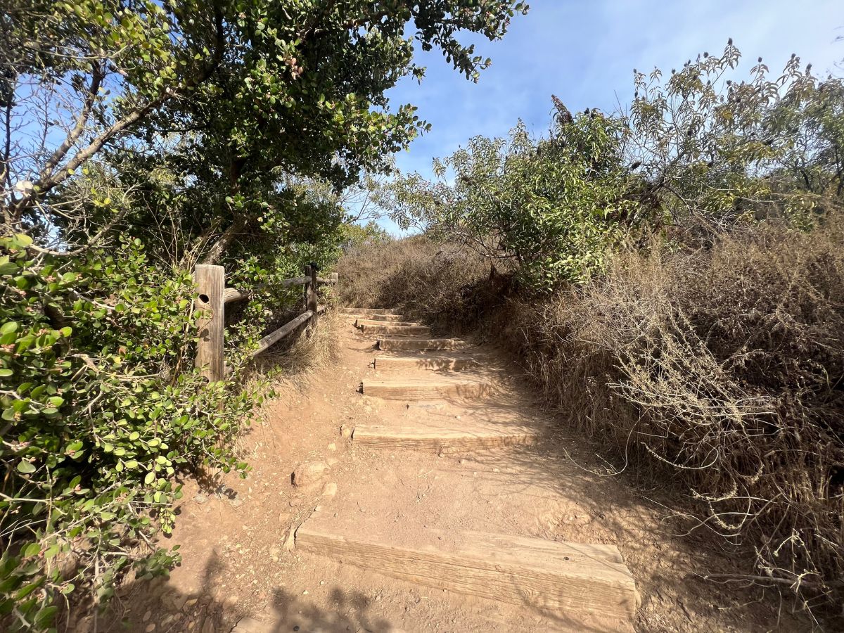 Cowles Mountain Hike - Highest Peak in San Diego City