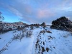 Mount Morrison South Ridge Trail: Best Hard Hike Near Denver