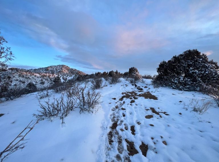 Mount Morrison South Ridge Trail: Best Hard Hike Near Denver
