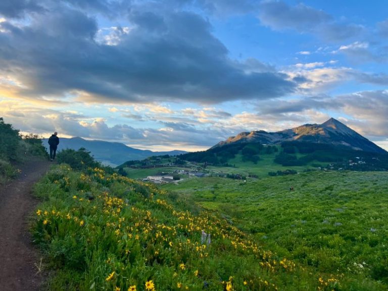 Crested Butte Wildflower Visitor Guide