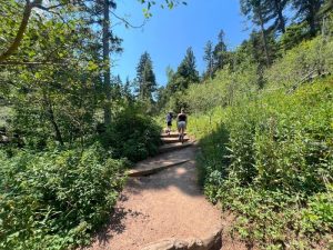 Devil’s Head Lookout: Classic Fire Tower Hike Near Denver Colorado